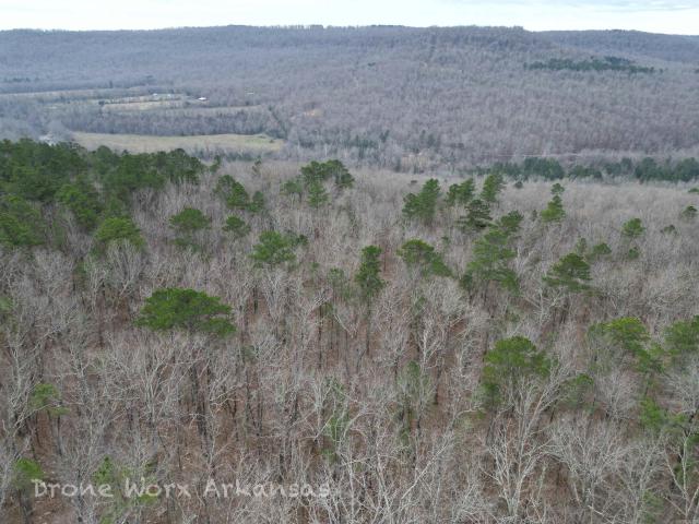 1872 Little Red River Road