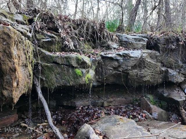 1872 Little Red River Rd, Marshall, AR 72650