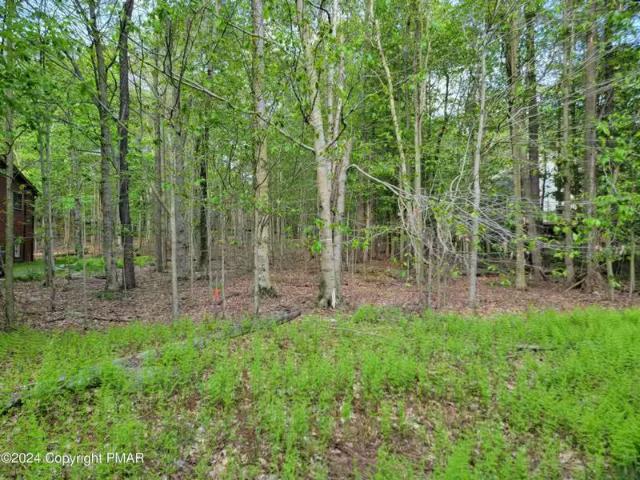 1873 MOUNTAIN GLEN DR, CLIFTON TOWNSHIP, PA 18424 Vacant Land.