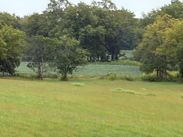 1873 Scotts Ferry Rd E, Versailles, KY 40383