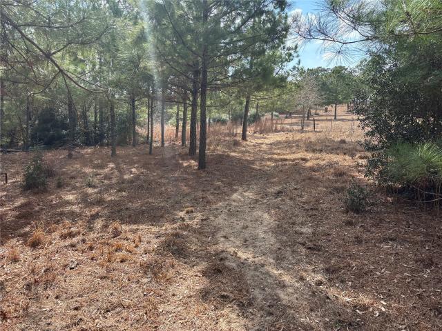 187 Kc Dr, Bastrop, TX 78602 | MLS #8261