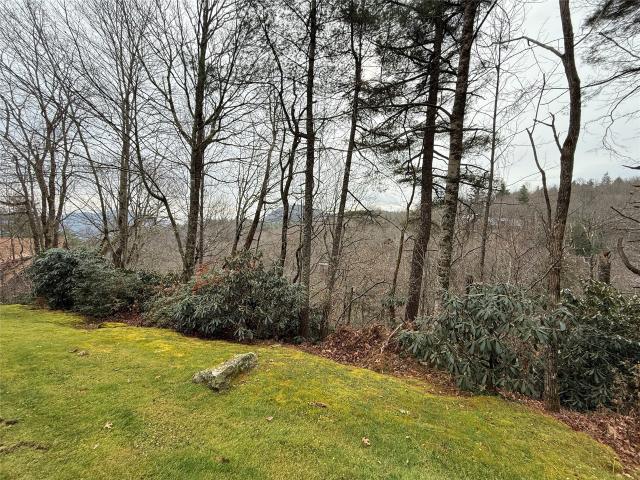 187 Lost Trail
