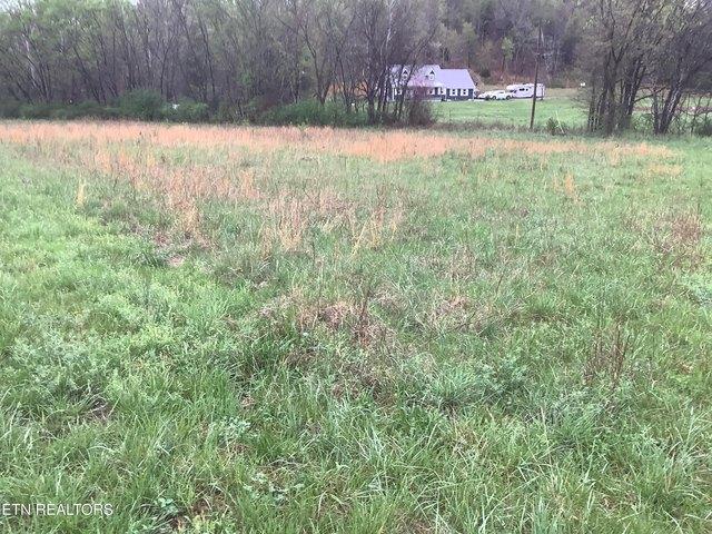 187 Woods Hollow Rd, Decatur, TN 37322