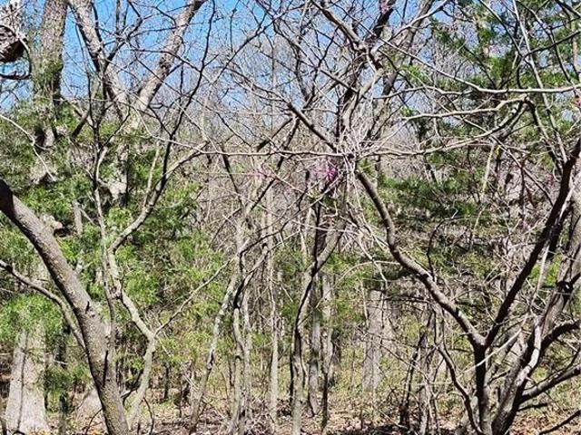 185 Wilderness Trail