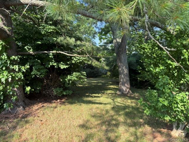 187 Thomas Powell Boulevard