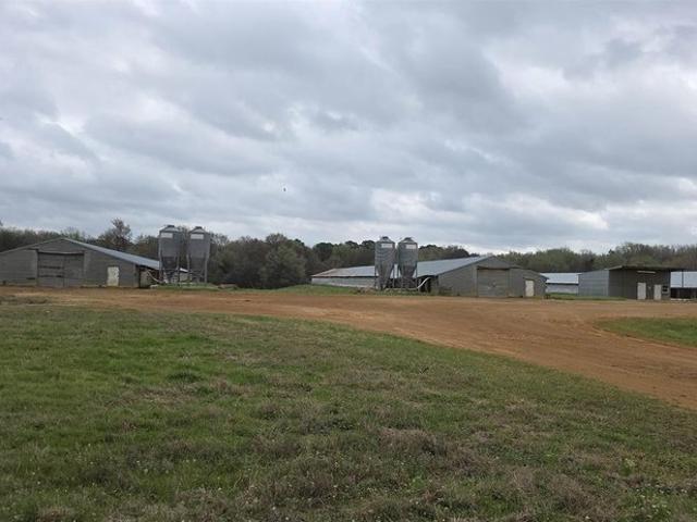 1886 Opossum Rd, Pittsburg, TX 75686