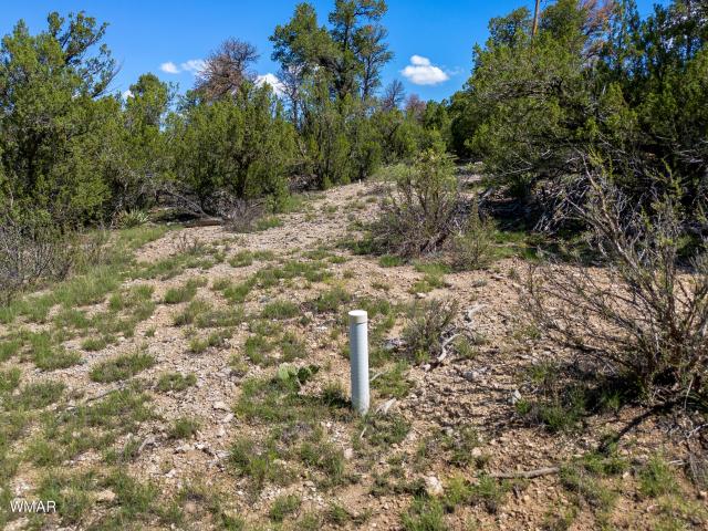 1887 Little Doe Trail