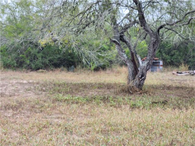 1888 County Road 440, Alice, TX 78332 | MLS #468850 | Compass