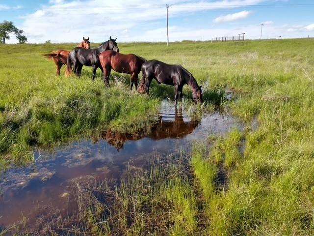 18801 Highway 34, White Owl, SD 57792