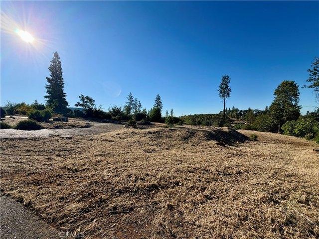 1880 Andrew Pl, Paradise, CA 95969