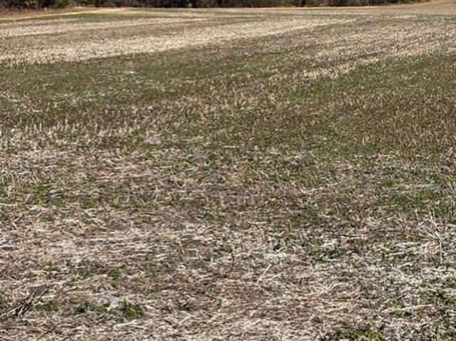 Lots and Land: MLS #10149
