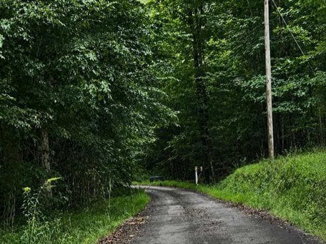 18818 US Highway 411 Lot 18818, Springville, AL 35146