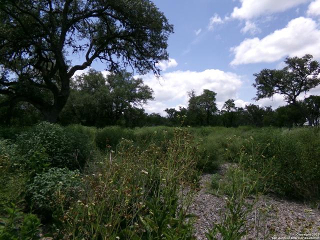 1881 Grand Oaks, Hondo, TX 78861 | MLS #1883