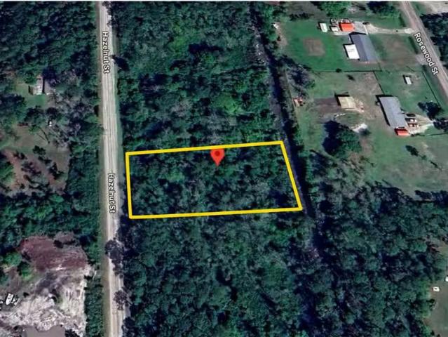 1881 HAZELNUT ST, BUNNELL, FL 32110 Vacant Land For Sale MLS#.