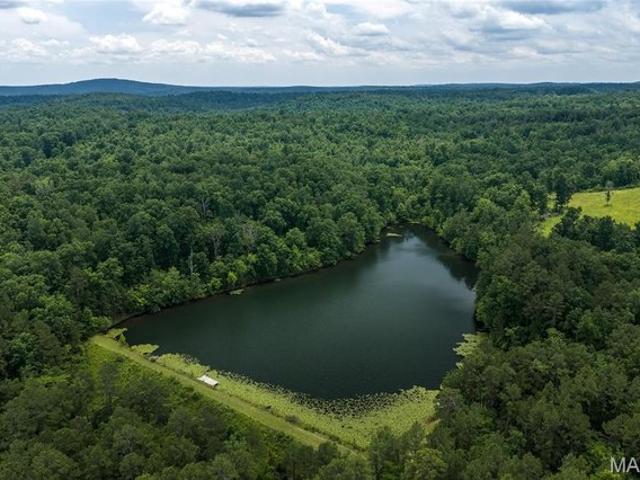 1882 Co Rd # 234, Fredericktown, MO 63645