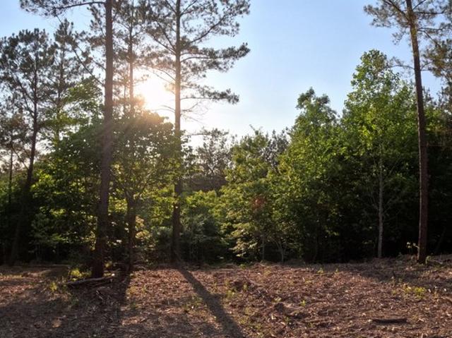 1882 Hillbrook Dr, Linden, TN 37096