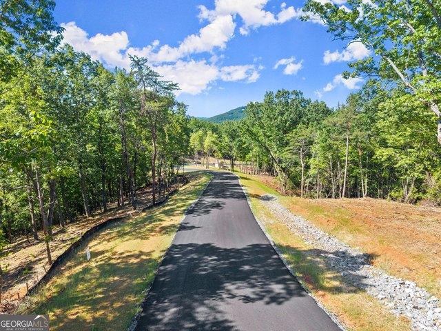 188 Chimney Oaks Trl, Cleveland, GA 30528