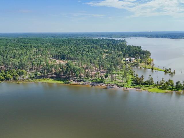 188 Foster Cove, Bronson, TX 75930 | MLS #11727