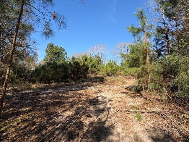 188 Hant Hill Rd, Livingston, TX 77351 | MLS #39955 | Compass