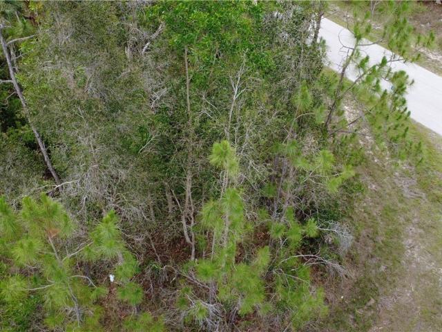188 Victory Ct, Lehigh Acres, FL 33972 | MLS #225059