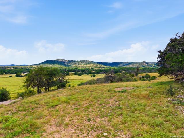 18954 Highway 16, Medina, TX 78055 | MLS #1995