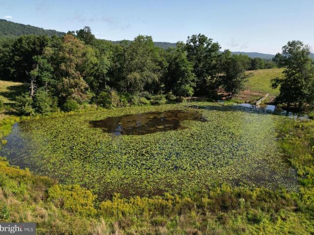 1895 Becks Gap Road