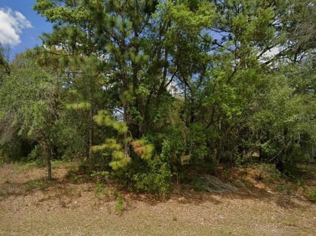 1895 W Hampshire Blvd, Citrus Springs, FL 34434