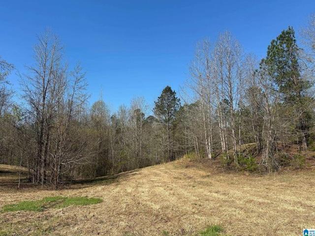 1896 Highway 45, Sterrett, AL 35147