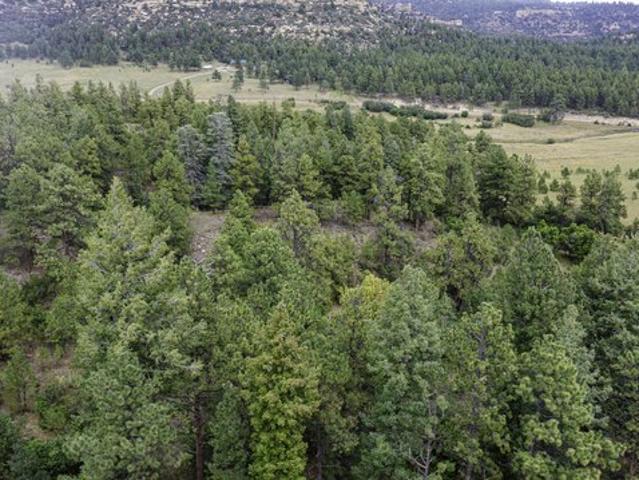 18990 Bellanca Cir, Weston, CO 81091