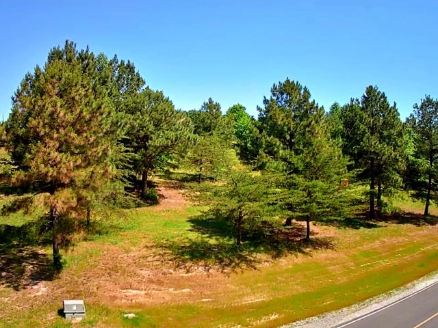 1899 River Bluffs Drive