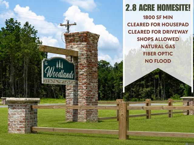 18921 Honey Grv, Livingston, LA 70754