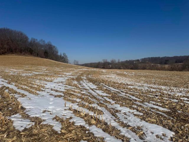 189.54 Acres Eli Valley Road