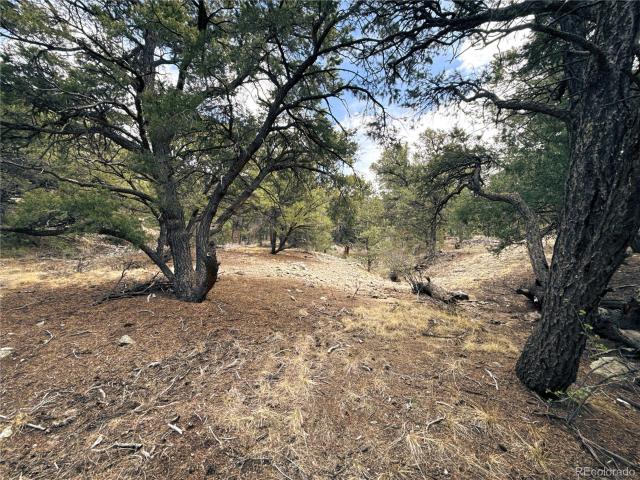 189 Cedar Ridge Road