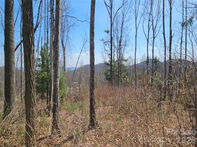 189 Dancing Bear Dr, Hendersonville, NC 28792 | MLS #4361