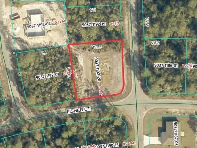 189 Fisher Ct, Ocklawaha, FL 32179
