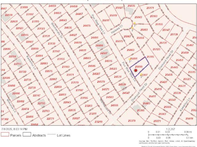 189 Puu Waa Ln, Bastrop, TX 78602 | MLS #6407