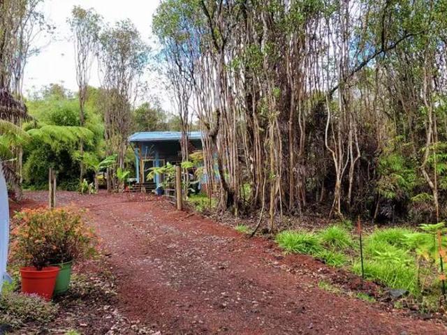 18 4134 MAUNA LOA DR, Volcano, HI 96785