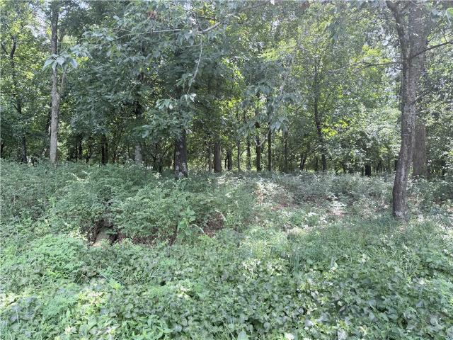 18.42 Acres N AR 43 Highway