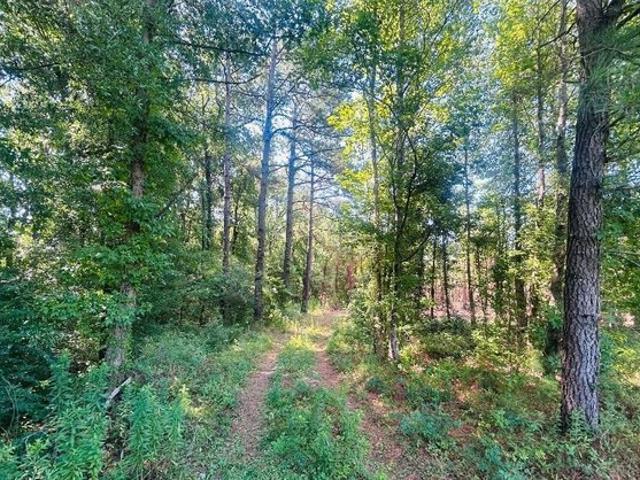 18.58 Acres Turkey Ln, Kingstree, SC 29556