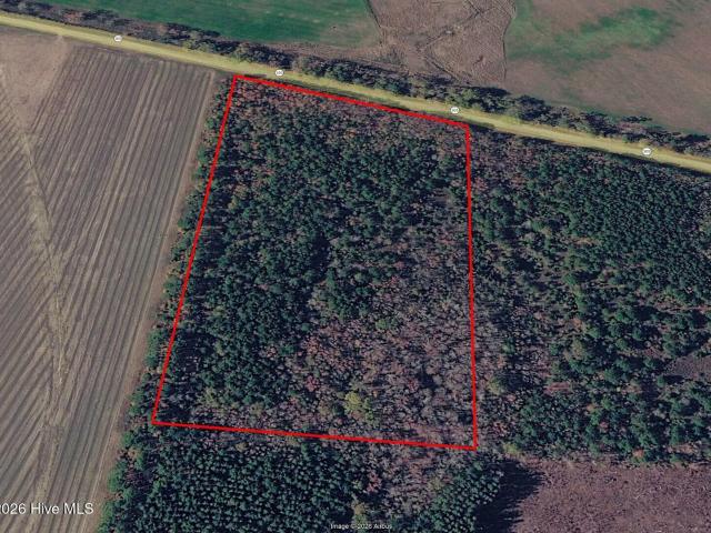 18.5 Acres Georgia 305 Highway
