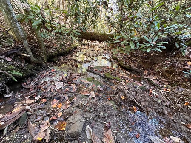 18.6 Ac Cave Branch Rd