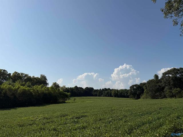 18.6 Acres Highway 431