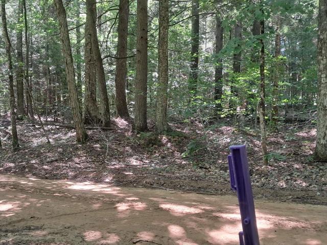 18.7 Acres On Cals Drive