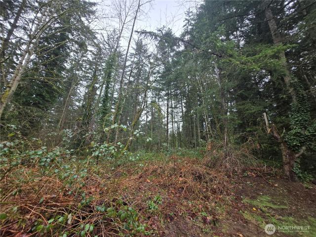 18 120th Ave SE, Renton, WA 98058 | MLS #2489