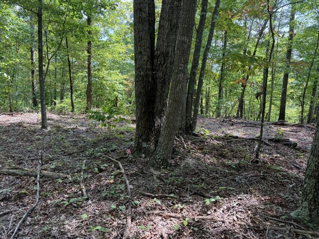 18.19 Ac Spence Ln