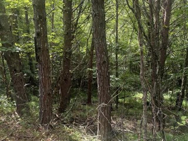 18 19 Joyce Rd, Murphy, NC 28906