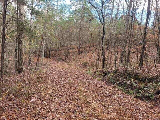 18.22 Talona Rd, Ellijay, GA 30536 | MLS #420701