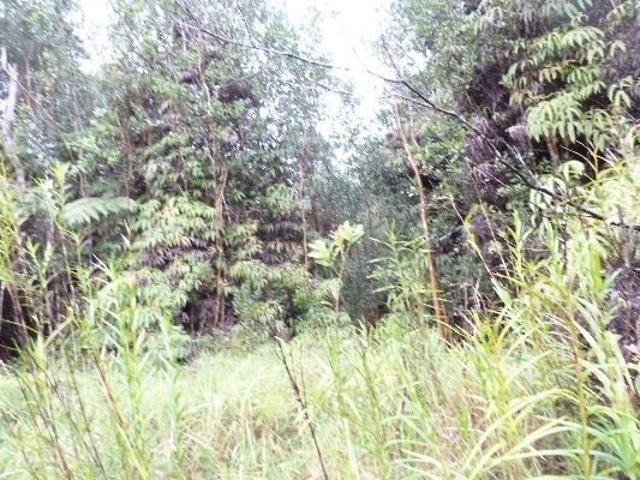 18 2310 N Glenwood Rd, Mountain View, HI 96771 | MLS #727818 | Compass