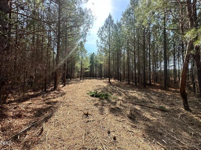 18.2 acres Range Rd, Rougemont, NC 27572 | MLS #10127