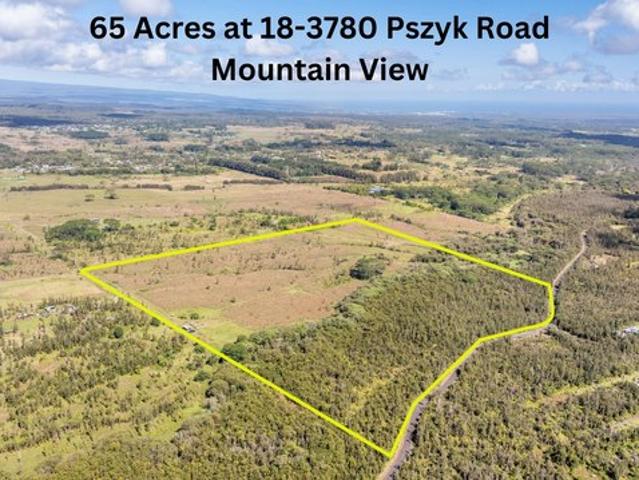 18 3780 Pszyk Rd, Mountain View, HI 96771